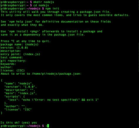 [라즈베리파이] node js 를 이용해 간단한 서버 구축하기 1 기본 설정