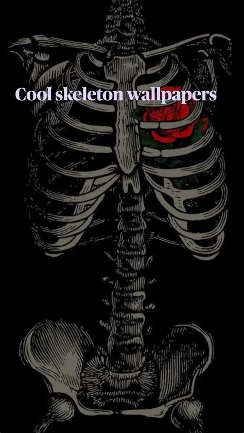 Awesome Skeleton Wallpapers Top Free Awesome Skeleton Backgrounds