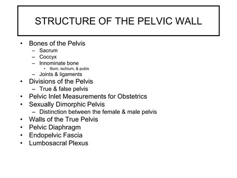 Pelvis Anatomy Lecture 1 Structure Of The Pelvic Wall 2016pdf