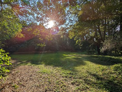 The Lichgate On High Road Florida Is So Otherworldly Youll Feel Like