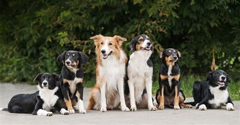 Ryan Mcveigh Posted On Linkedin