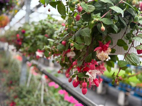 Monnettes Gardens Added A New Photo Monnettes Gardens