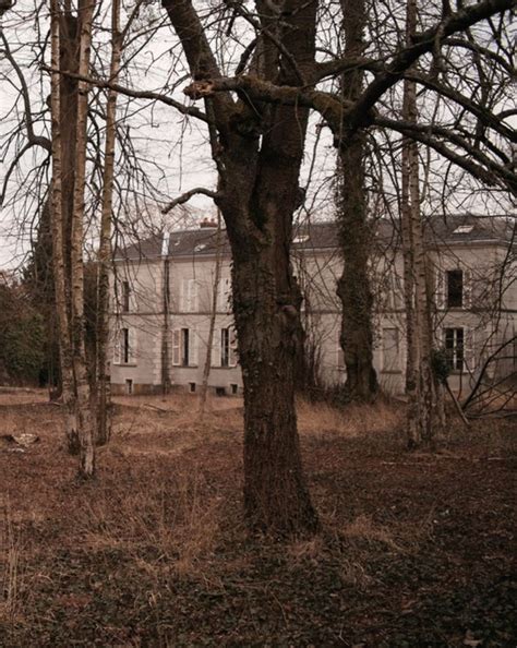 Pin On Abandoned Abandoned Tree Garden