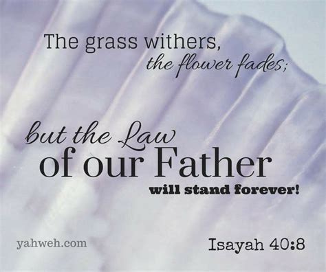 Bible Verses The Grass Withers The Flower Fades But The Word Of Our