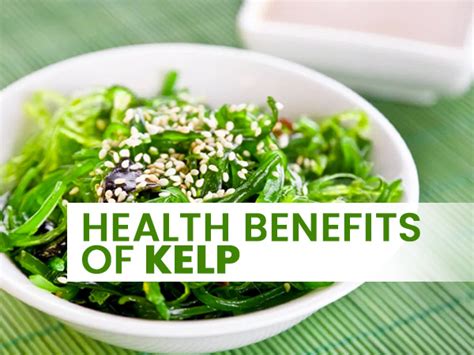 Kelp Nutrition Health Benefits And How To Eat