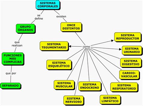 Mapa Conceptual Del Cuerpo Humano Con Todos Sus Sistemas En My Xxx