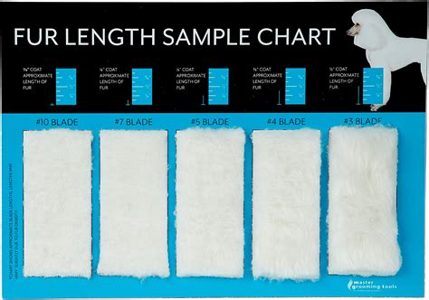 Grooming Hair Length Sample Charts At Scott Mcrae Blog