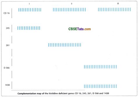 Concept Of Gene Characteristics Structure And Properties Of Gene
