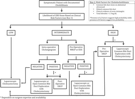 Clinical Spotlight Review Management Of Choledocholithiasis A Sages Publication
