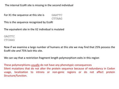 Restriction Fragment Length Polymorphism Powerpoint Slides
