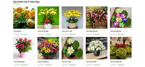 Full Code Báo Cáo Đồ Án Website Bán Hoa Tươi đạt 95đ Môn Phát Triển