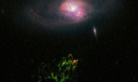 The Green Blob From Outer Space Nbc Los Angeles