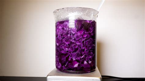 Extracting Anthocyanin A Natural Ph Indicator 5 Steps With Pictures Instructables