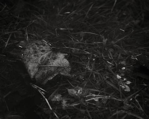 Cody Schultz Dscf0755 On Landscape