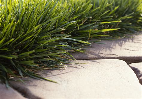 Dor Exclusief Nature At Home