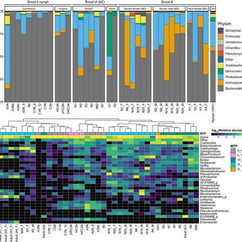 Bacterial Community Composition A Stacked Bar Plot Showing Relative