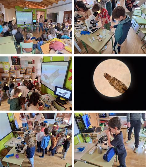 Cambium Members Celebrated The International Day Of Women And Girls In