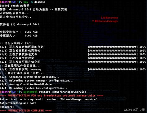 日常记录之archlinux共享网络archlinux配置usb共享网络 Csdn博客