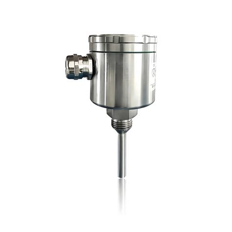 Paddlebaffle Flow Switch Explosion Proof Si01bs Sino Insts