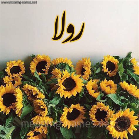 بالصور باسم رولا مميزة خلفيات جديدة اسم رولا رمزيات حلوة لاسم رولا صقور الإبدآع