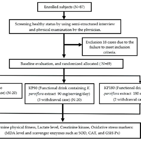 Schematic Diagram Of The Experimental Procedures Schematic Diagram Of Download Scientific