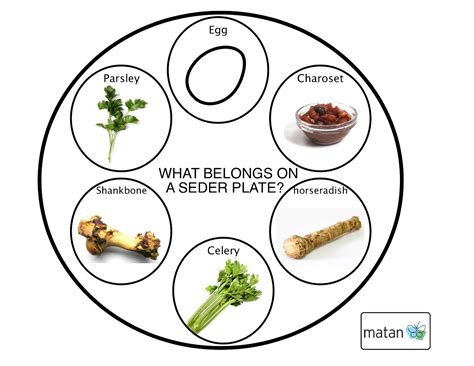 A Millennials Guide To The Passover Seder Hey Alma