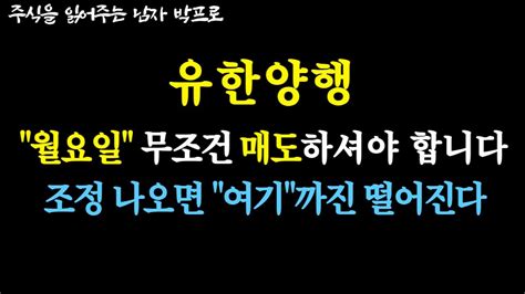 유한양행 주가전망 월요일 무조건 매도하셔야 합니다 조정 나오면 여기까진 떨어진다 유한양행 유한양행주가전망 Youtube