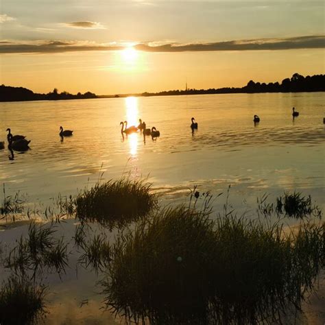 Ikšķiles Baznīca Galerija