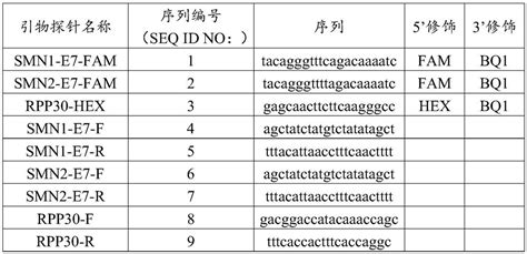 Primer Probe Composition For Detecting Spinal Muscular Atrophy Related Genes And Kit Eureka