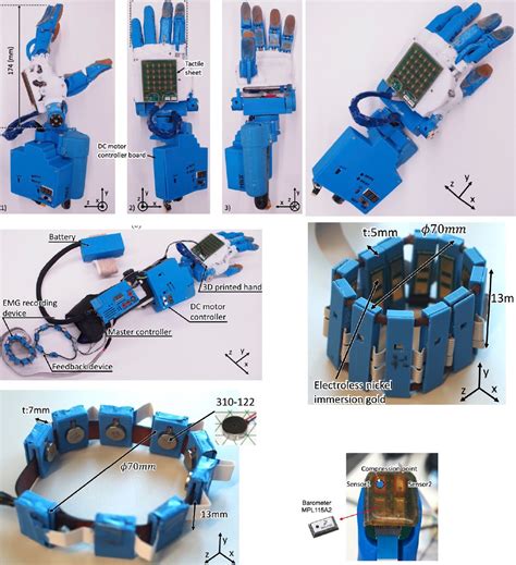 Wearable And Implantable Neural Interfaces For Behavior And Medicine