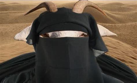 Jamie Gemmill Jamieftprovos Twitter