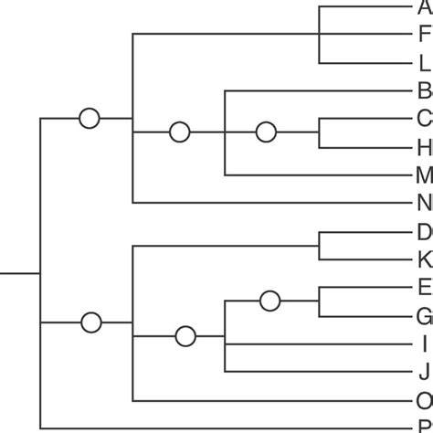 The Adams Consensus Of The Two Trees In Figure 1 This Tree Is Also The