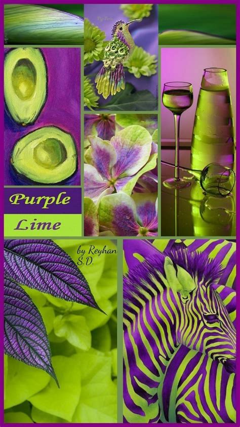Палитра цвета | Color palette bright, Color collage, Color palette design