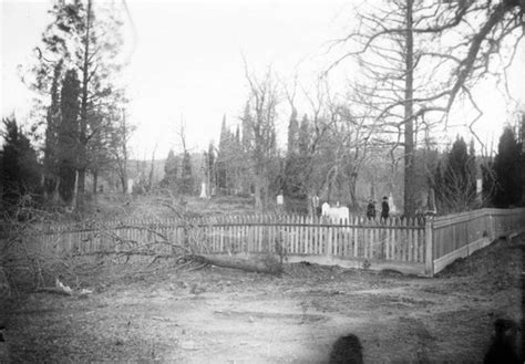 Shasta Cemetery — Calisphere