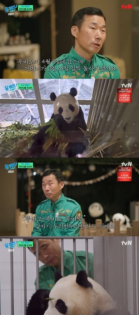 ‘푸바오 할부지 강철원 사육사 모친상에도 中 동행 의젓한 모습감동이었다” 유퀴즈 Mk★tv뷰 Mk빌리어드