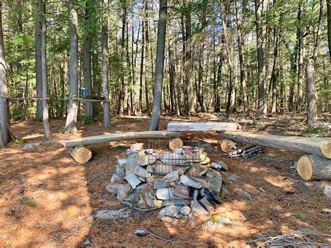 Dickson Lake Campsite 8 In Algonquin Park Campsite Report