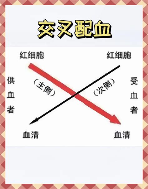 交叉配血：三种方法的优缺点解析🧪