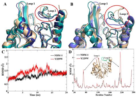 Distinct Conformations Of Loop 2 Obtained By Clustering The Md