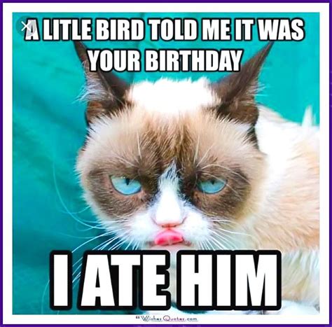 Happy Birthday Grumpy Cat Meme