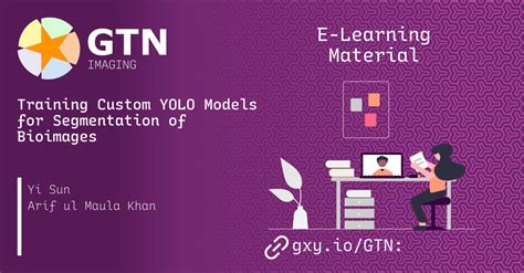 hands on training custom yolo models for segmentation of bioimages