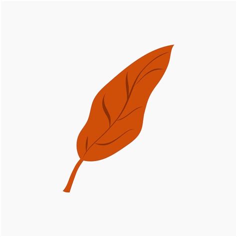 Premium Vector Orange Autumn Leaf Element