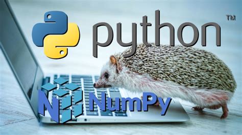 【初心者向け】pythonで行列計算【numpy】 おとといからきたいも