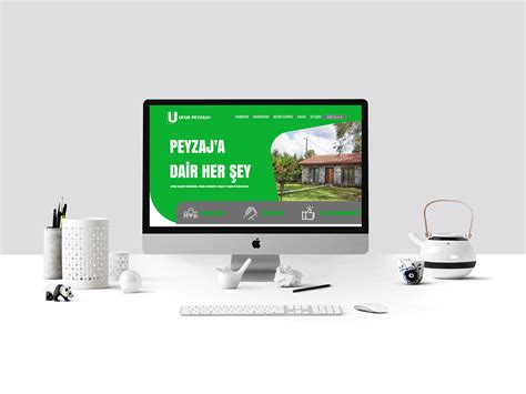 Sezer Dribbble