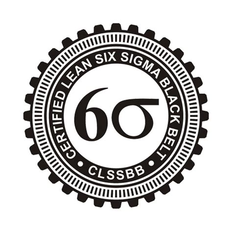 Lean Six Sigma Black Belt Bluemorpho