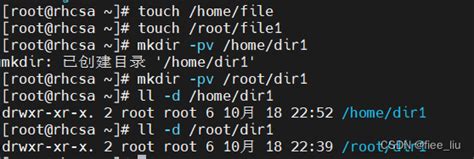 linux命令：主机设置与文件操作 csdn博客