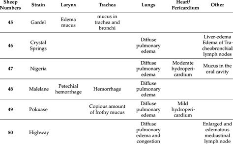 Gross Lesion Observations Documented During Necropsy In Sheep Infected Download Scientific