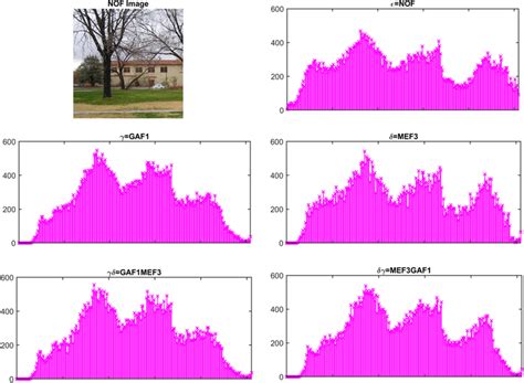 Image And Histogram Of The Operator Processed Image Download