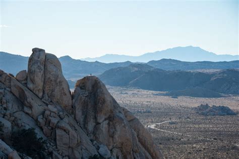 Top 10 Best Scenic Views In Joshua Tree National Park The National