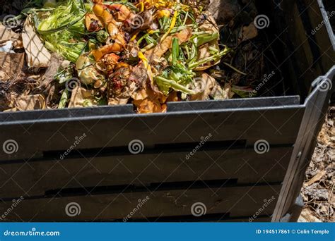 Compost In Outdoor Plastic Bin Stock Image Image Of Outside Fruits