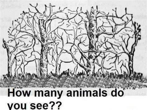 Hidden Animals Picture Puzzle Find The Hidden Animals How Many